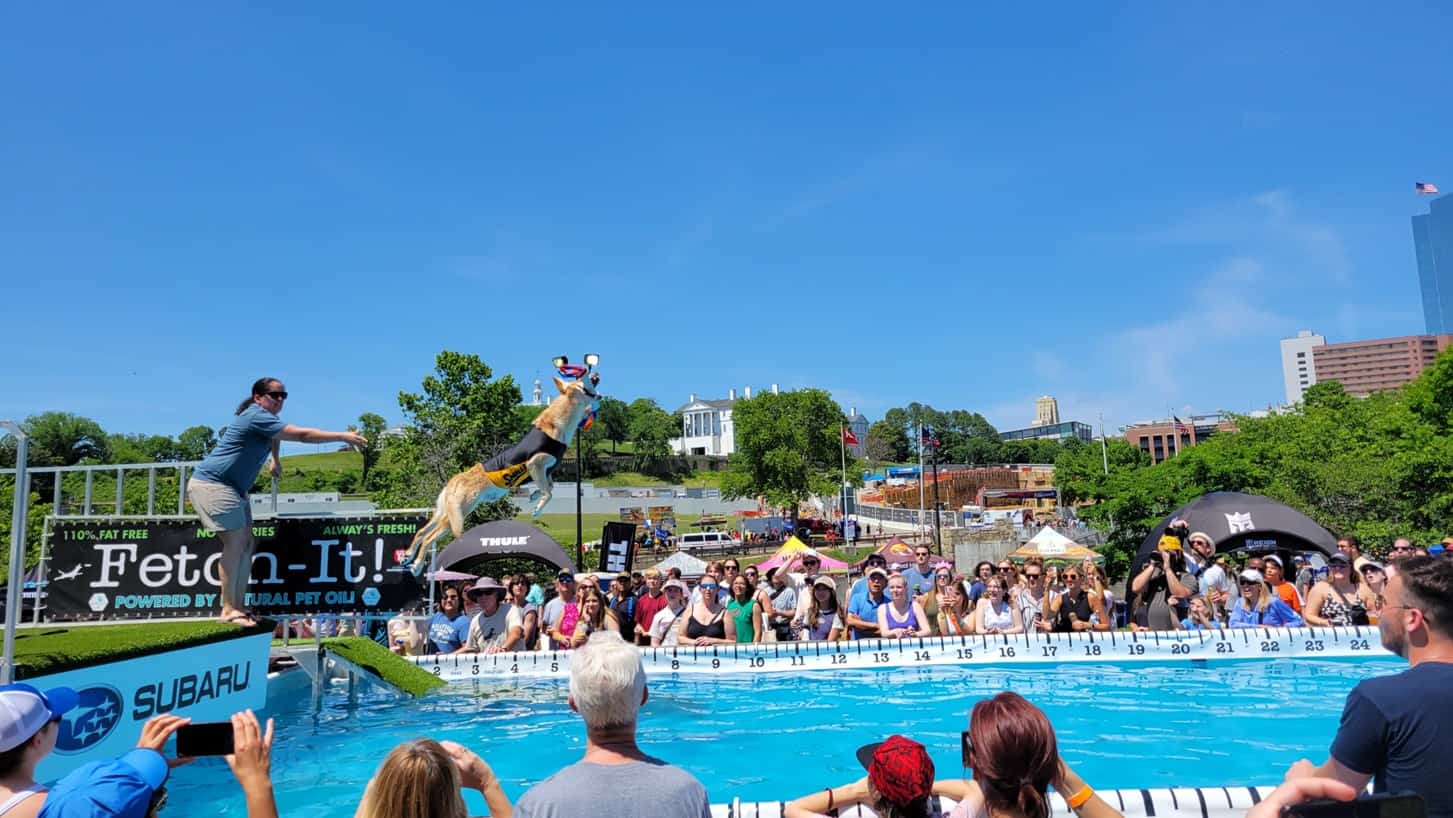 Dominion Energy Riverrock Festival | Patient First