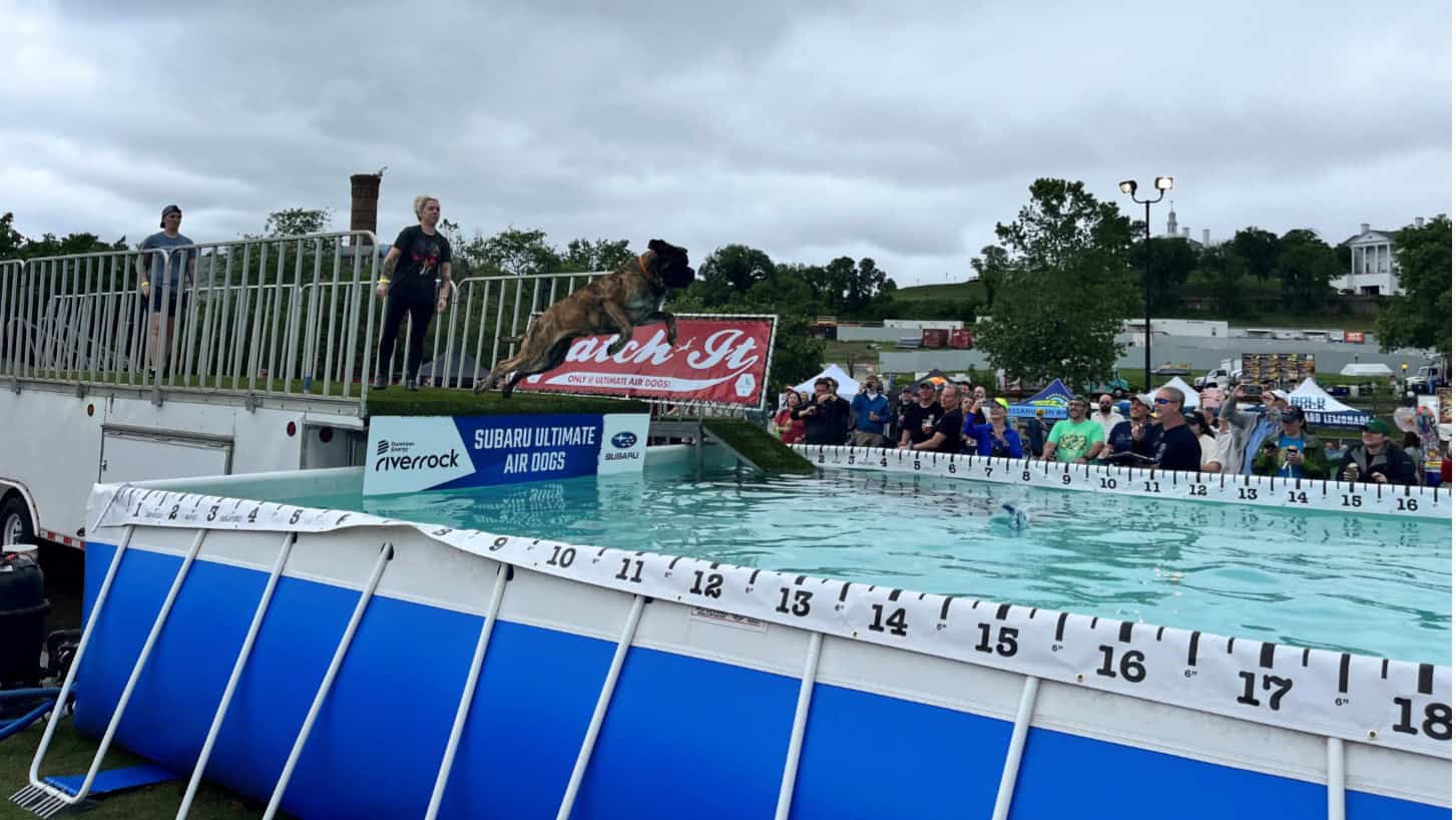 Dominion Energy Riverrock 2024 | Patient First